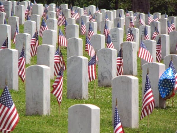 Flags For Fallen Vets